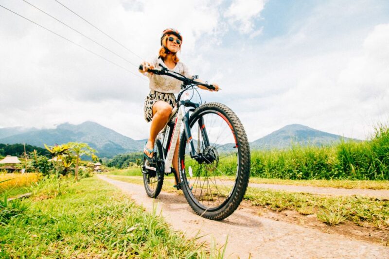 Bali: Jatiluwih Rice Terraces 1 Hour Electric Bike Tour - Who Should Consider This Tour?