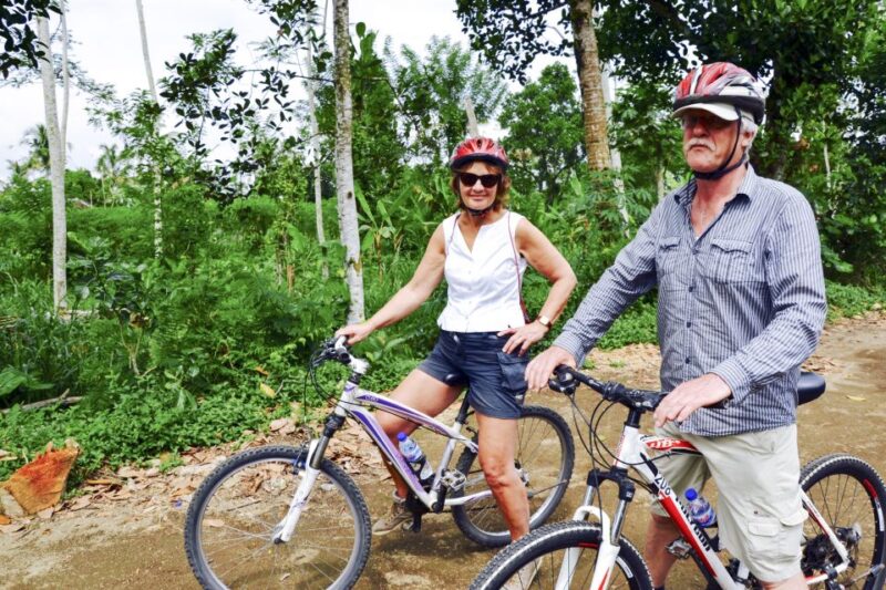 Bali: Jatiluwih Rice Terraces 1 Hour Electric Bike Tour - The Sum Up