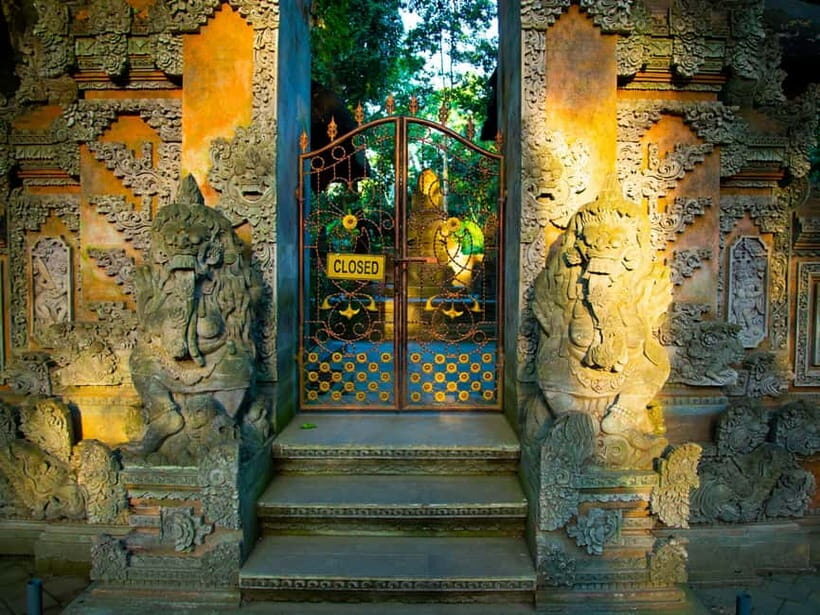 Bali: Jatiluwih Rice Terraces, Sangeh Forest & Coffee Tour - The Playful Charm of Sangeh Forest