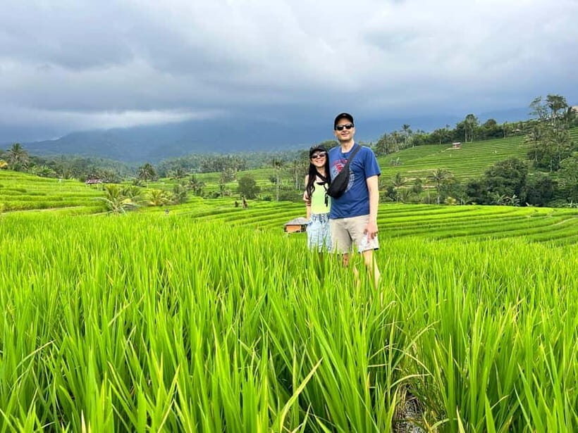 Bali: Jatiluwih Rice Terraces Walking Tour And Tanah Lot - Practical Details and Value