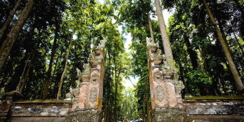 Bali: Journey to The Soul, All Inclusive Tour - Discover Bali’s Hidden Spiritual and Cultural Gems