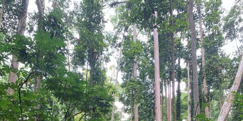 Bali: Journey to The Soul, All Inclusive Tour - The Sum Up: Is This Tour Worth It?