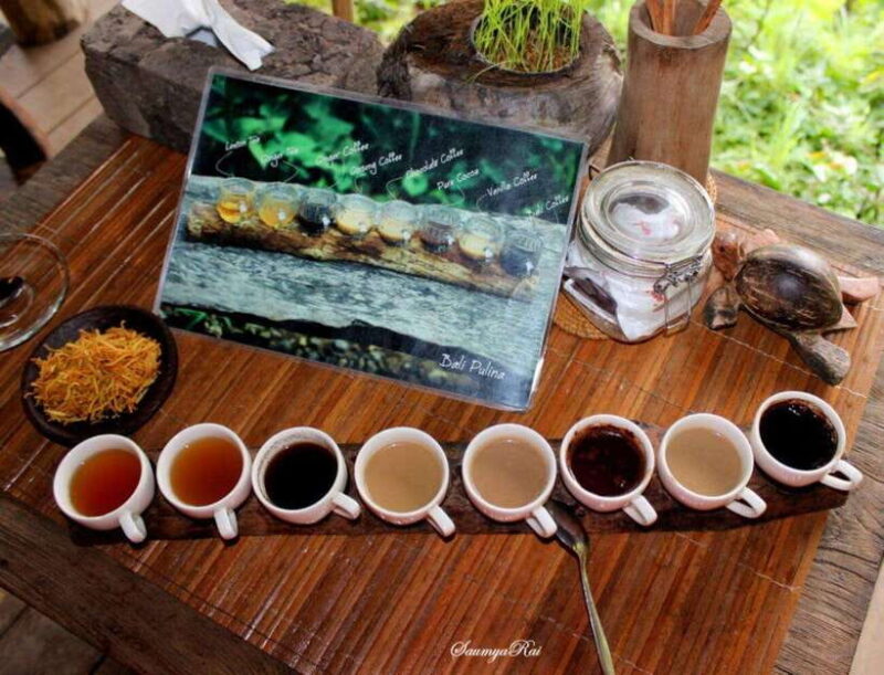 Bali: Jungle ATV Ride, Tegenungan Waterfall - What’s Included and What’s Not