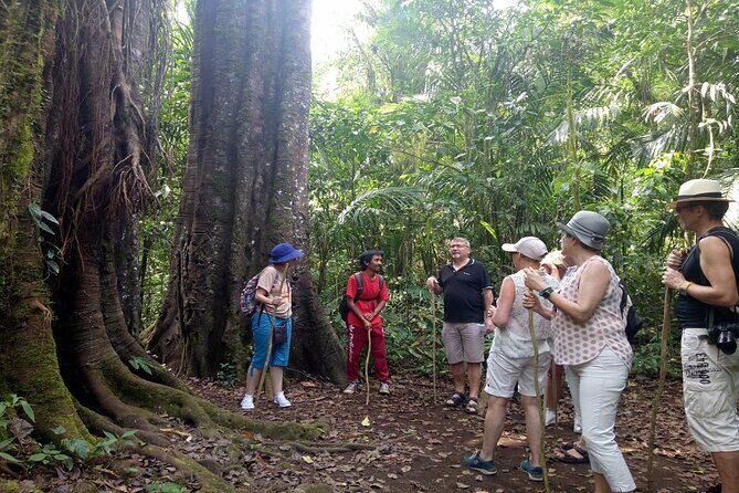Bali Jungle Escapade: Rainforest and Waterfall Trekking - An In-Depth Look at the Bali Jungle Escapade