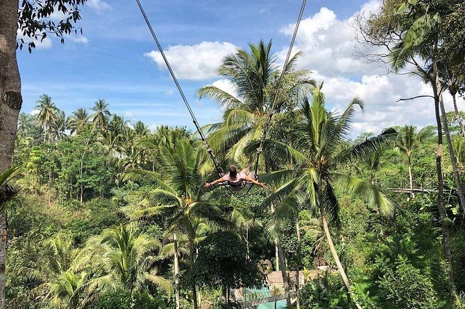 Bali Jungle Swing, Ubud Art Market & Puri Saren with Japanese Speaking Guide - Discovering Bali’s Natural Beauty and Cultural Highlights
