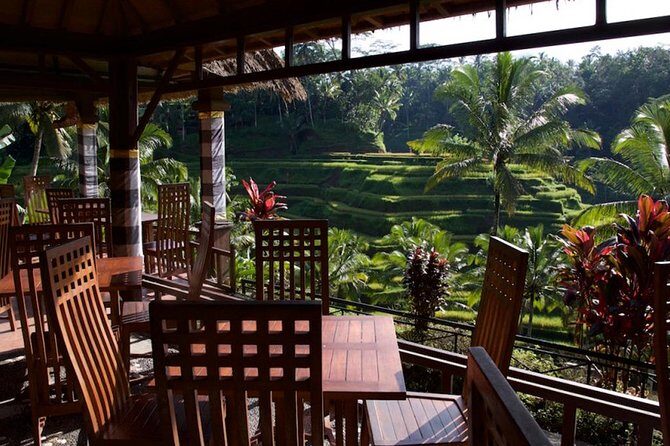 Bali Jungle Swing, Ubud Art Market & Puri Saren with Japanese Speaking Guide - Who Would Enjoy This Tour?