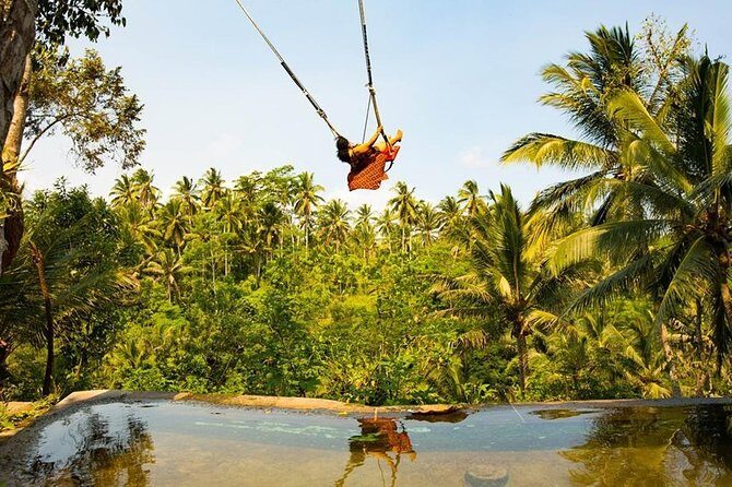 Bali Jungle Swing, Ubud Art Market & Puri Saren with Japanese Speaking Guide - Final Thoughts