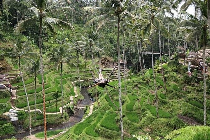 Bali Jungle Swing & Ubud Tour - The Sum Up
