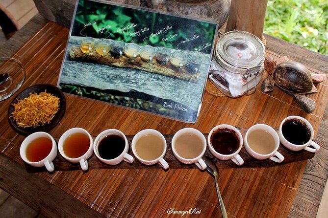 Bali Jungle Swing & Ubud Tour - FAQ