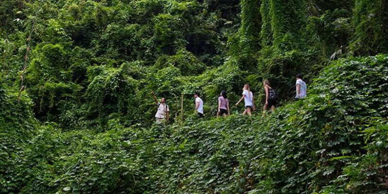 Bali: Jungle Trek and River Rafting with Lunch - Key Points