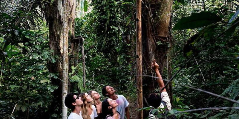 Bali: Jungle Trek and River Rafting with Lunch - The River Rafting Experience