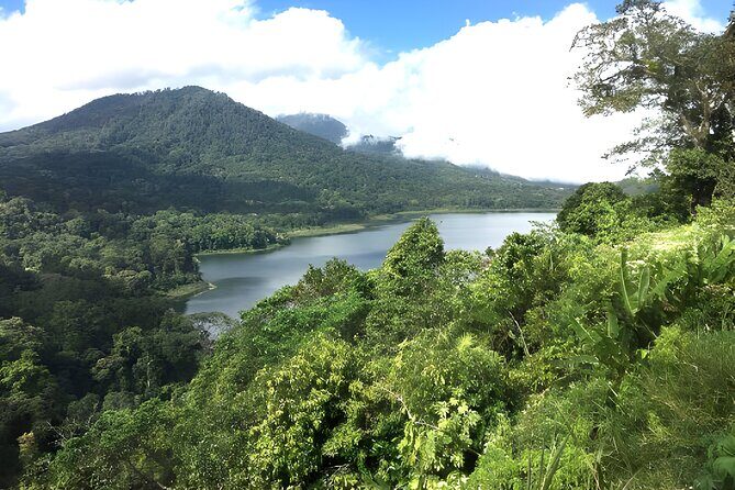 Bali Jungle Trekking in Beautiful Rainforest - Who Would Love This Tour?
