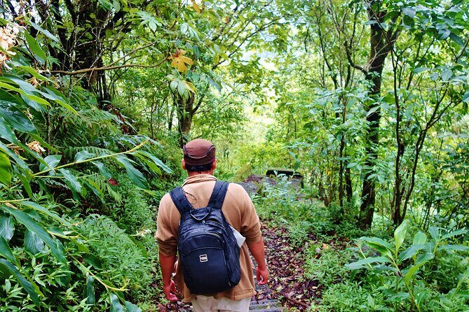 Bali Jungle Trekking in Beautiful Rainforest - FAQ