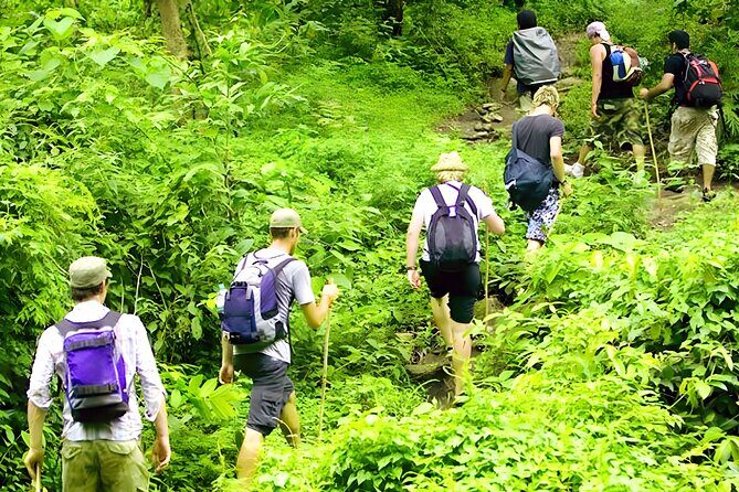 Bali Jungle Trekking with Lunch and Return Hotel Transfer - Who Will Love This Tour?