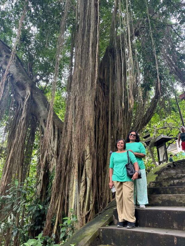 Bali : Jungle Waterfall NUNGNUNG private tour With sunset - What’s Included and What to Keep in Mind