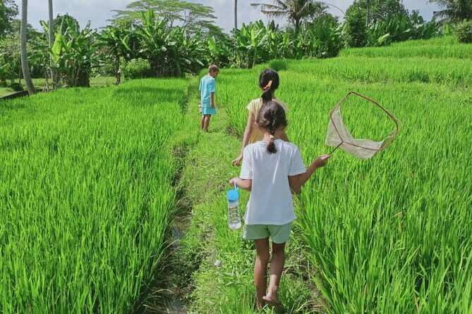 Bali Kaura Children's Adventure Activities with Private Transfer - Why This Tour is a Great Choice for Families