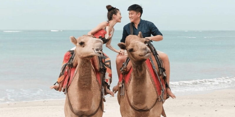 Bali: Kelan Beach Camel Rides Experiences - Key Points