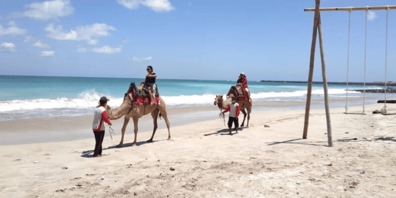 Bali: Kelan Beach Camel Rides Experiences - The Authentic Touch