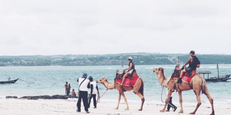 Bali: Kelan Beach Camel Rides Experiences - Practical Details and Logistics