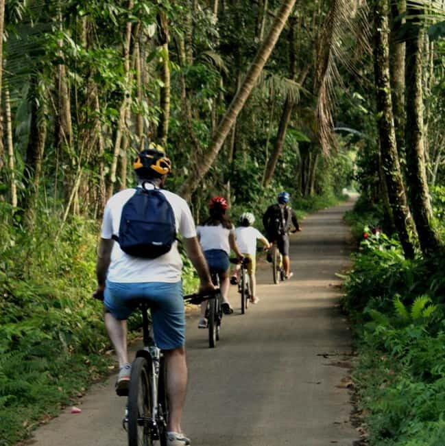 Bali: Kintamani Downhill Bike Tour, Jungle and Waterfalls - A Closer Look at the Bali Kintamani Downhill Bike Tour