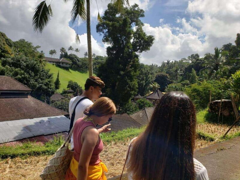 Bali: Kintamani Heritage Tour - Bali: Kintamani Heritage Tour – An In-Depth Review