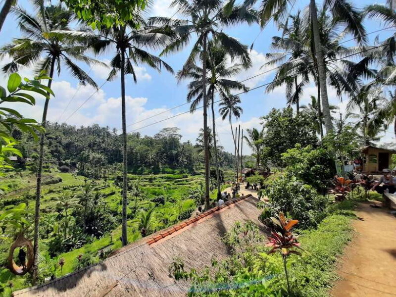 Bali: Kintamani Heritage Tour - Final Thoughts