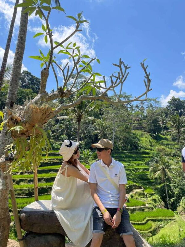 Bali: Kintamani, Tegalalang and Coffee Plantation Tour - Key Points