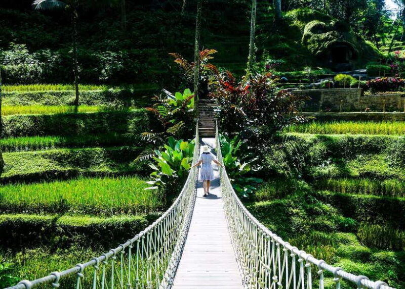 Bali: Kintamani, Tegalalang and Coffee Plantation Tour - Detailed Itinerary Breakdown