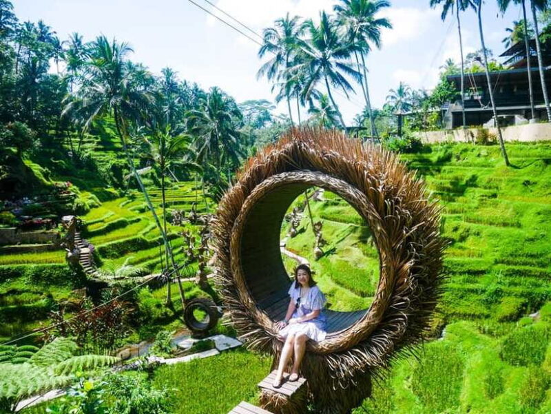 Bali: Kintamani, Tegalalang and Coffee Plantation Tour - Final Thoughts