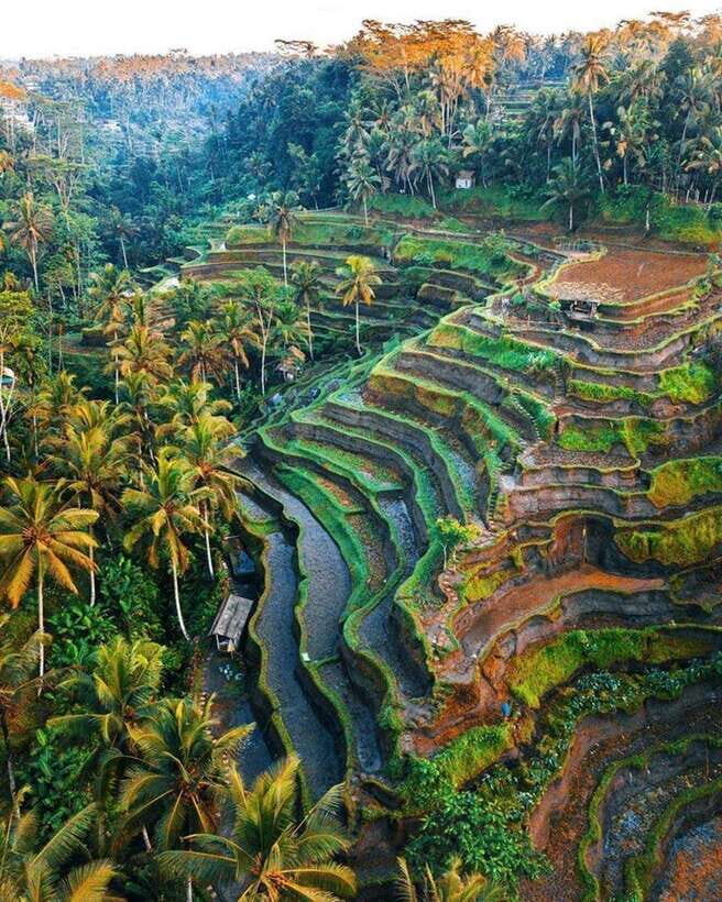 Bali Kintamani tour - Frequently Asked Questions