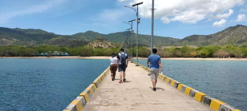 Bali: Komodo Island Guided Day Trip with Lunch and Snacks - The Value of This Tour