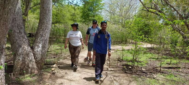 Bali: Komodo Island Guided Day Trip with Lunch and Snacks - The Sum Up