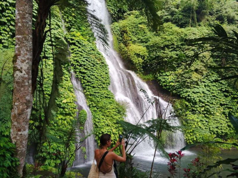 Bali: Lake Temple, Jatiluwih Rice Terrace & Waterfall Tour - Practical Tips and Considerations