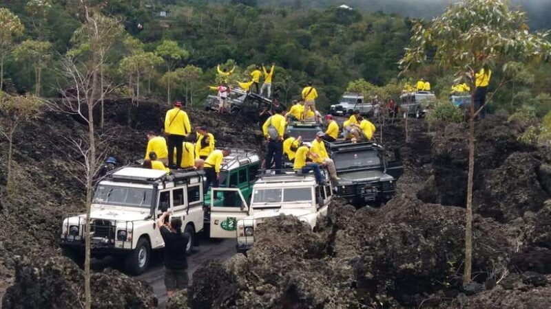 Bali: Land Rover Jeep Tour Kintamani & Ubud Swing - Who Will Love This Tour?