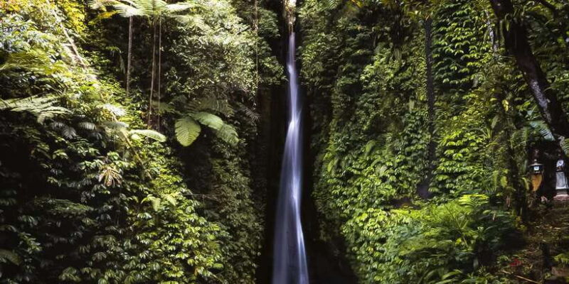 Bali: Leke-Leke Waterfall, Monkey Forest & Jungle Swing Tour - Why This Tour Works for You