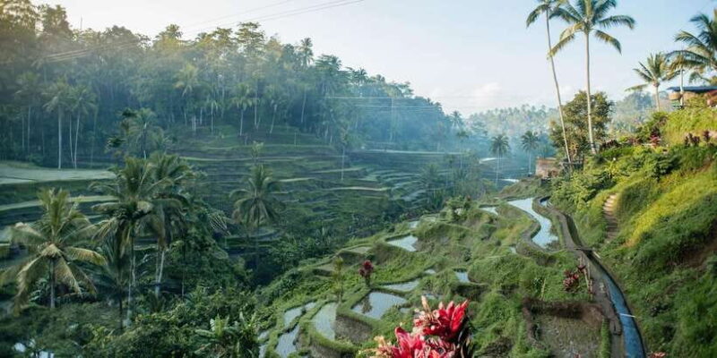 Bali: Lempuyang Quick Access, Waterfall, Water Palace & More - What the Reviews Tell Us