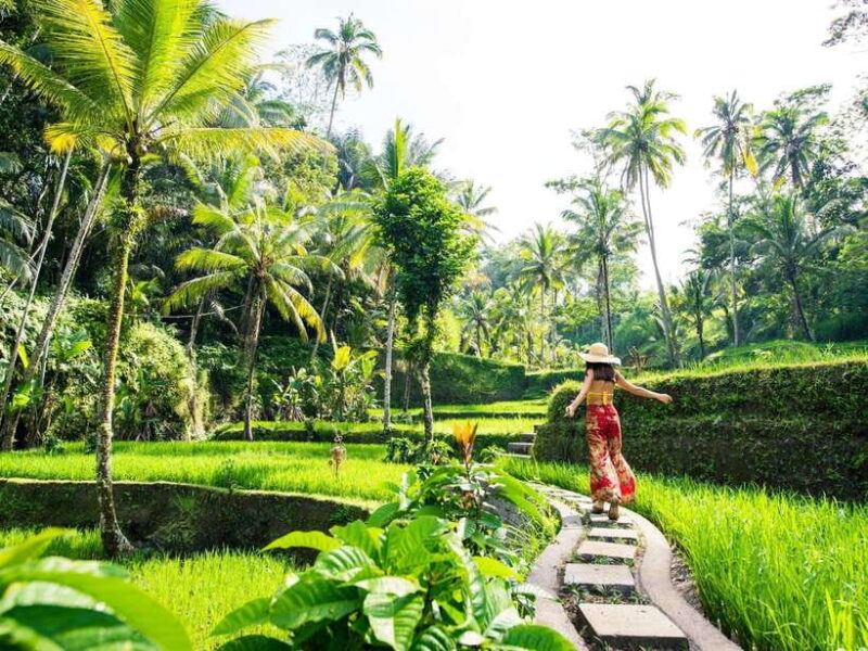 Bali: Lempuyang Temple, Water Palace, and Waterfall Tour. - Key Points