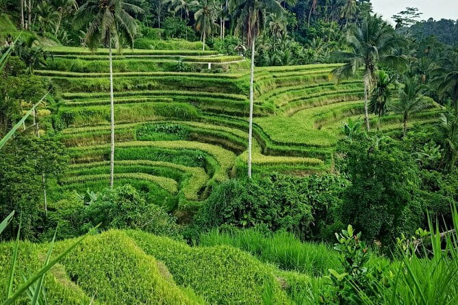 Bali Lempuyang Temple, Waterfall with Rice Terrace Tour - How the Experience Feels
