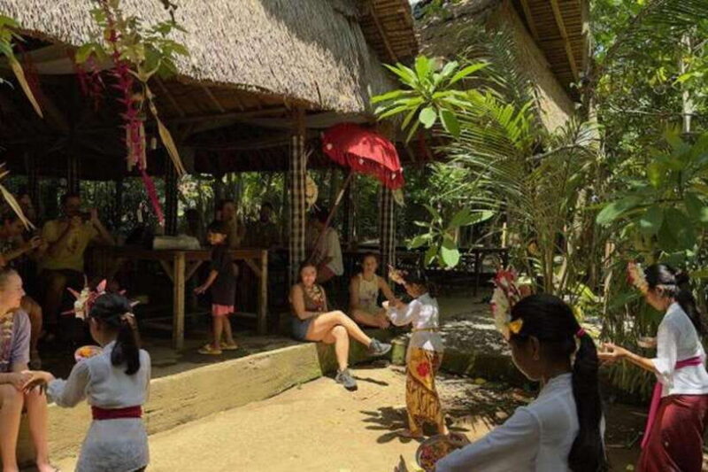 Bali: Local Village and School Tour with Lunch - The Real Value of This Tour