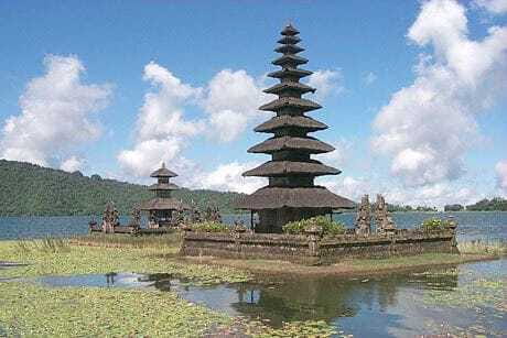Bali: Lovina Beach and Bedugul Mountain Private Tour - Exploring Bali’s Natural Wonders: What You Can Expect