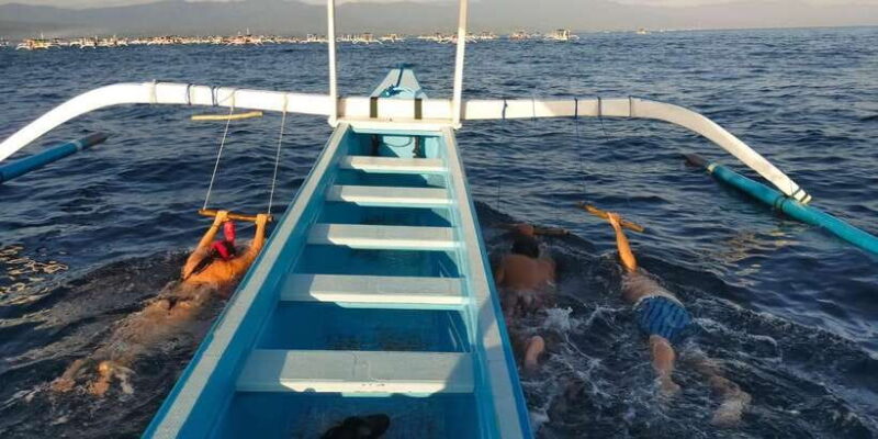 Bali: Lovina dolphin adventure with breakfast and snorkling. - Key Points