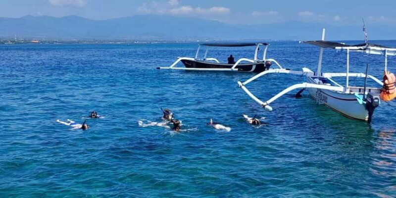 Bali: Lovina dolphin adventure with breakfast and snorkling. - Authenticity and Value