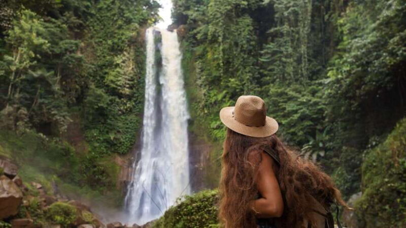 Bali/Lovina: Dolphin Snorkeling, Swimming & Waterfall Tour - Key Points