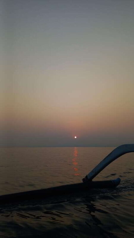 Bali : Lovina Dolphin & Swim, Snorkeling, 2 Destination stop - The Value of This Tour