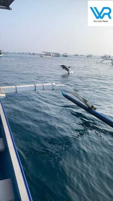Bali : Lovina Dolphin & Swim, Snorkeling, 2 Destination stop - FAQs