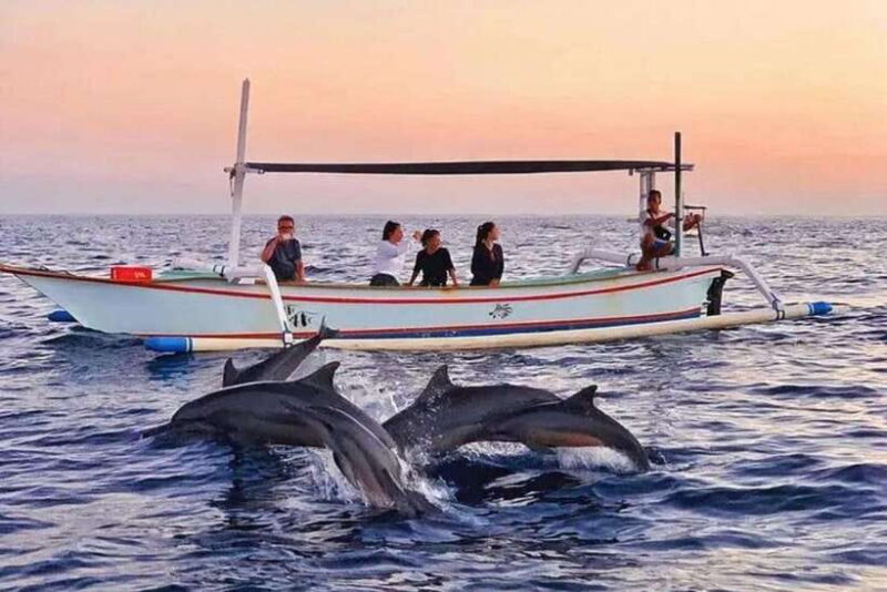 Bali Lovina dolphin Tour & Watching Sunrise - The Reality Behind the Reviews