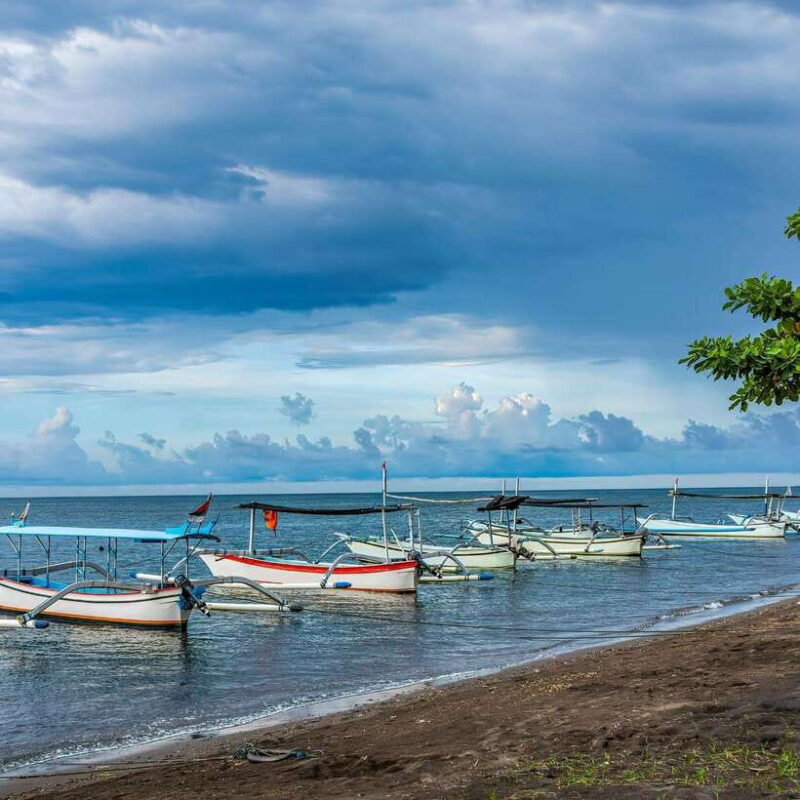 Bali: Lovina Dolphin Watching and Snorkeling Tour - Key Points