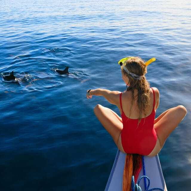 Bali: Lovina Dolphin Watching and Snorkeling Tour - The Sum Up
