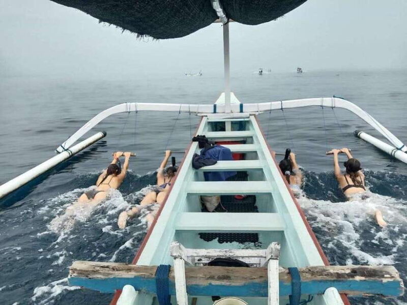 Bali: Lovina Dolphin Watching and Snorkeling Tour - The Experience from Travelers’ Perspectives