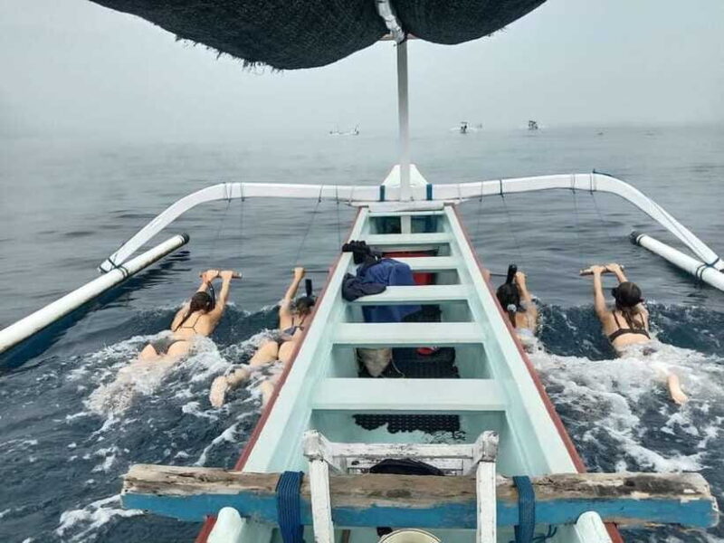 Bali: Lovina Dolphin Watching and Snorkeling Tour - Why This Tour Is Worth Considering